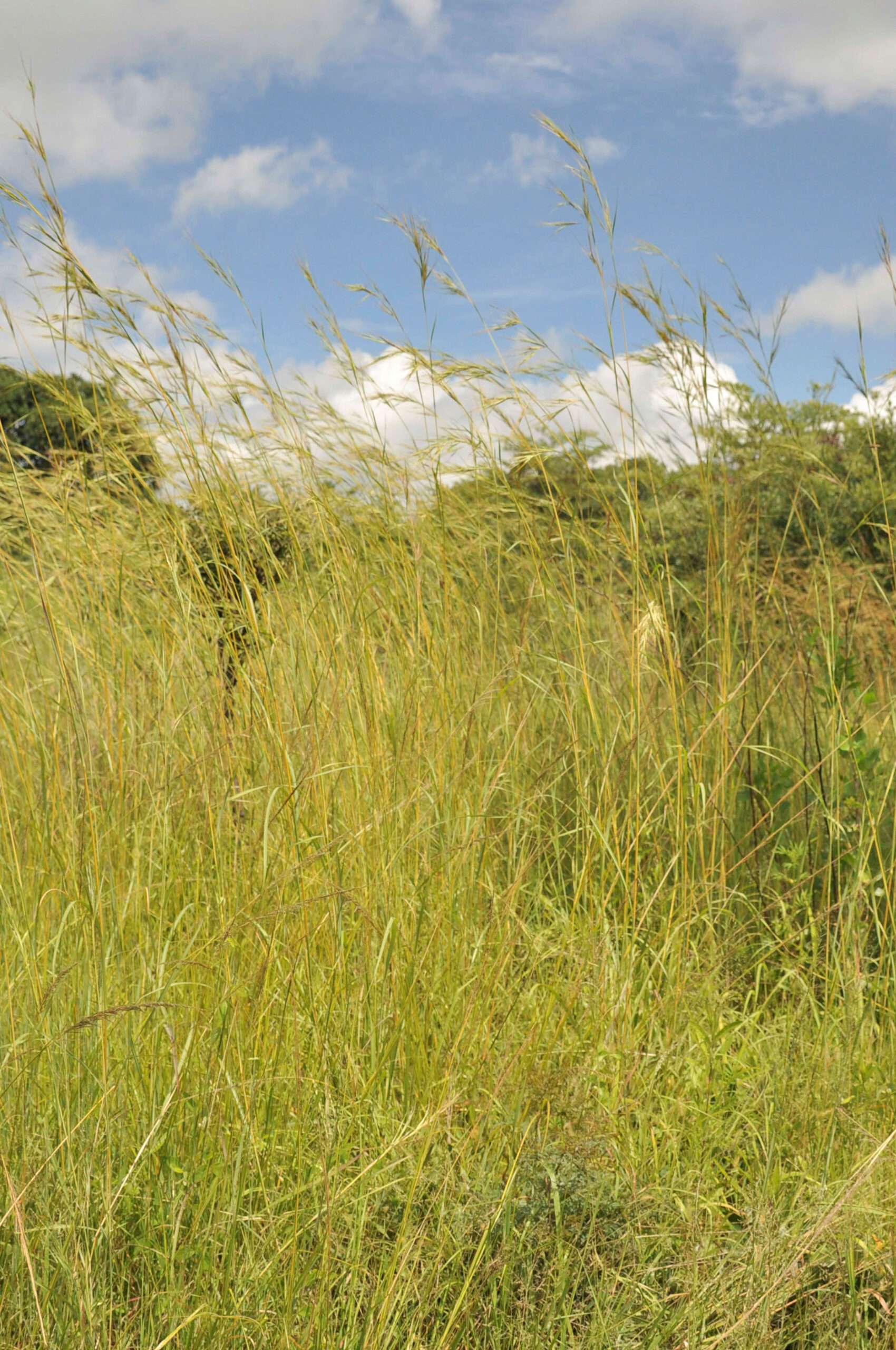 Creative Village – Galerie und Kunststätte | studio*k